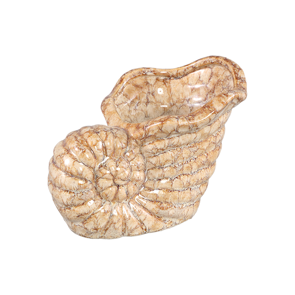 Cream Ceramic Shell Shaped Pot Glazed A – Stevensons Home